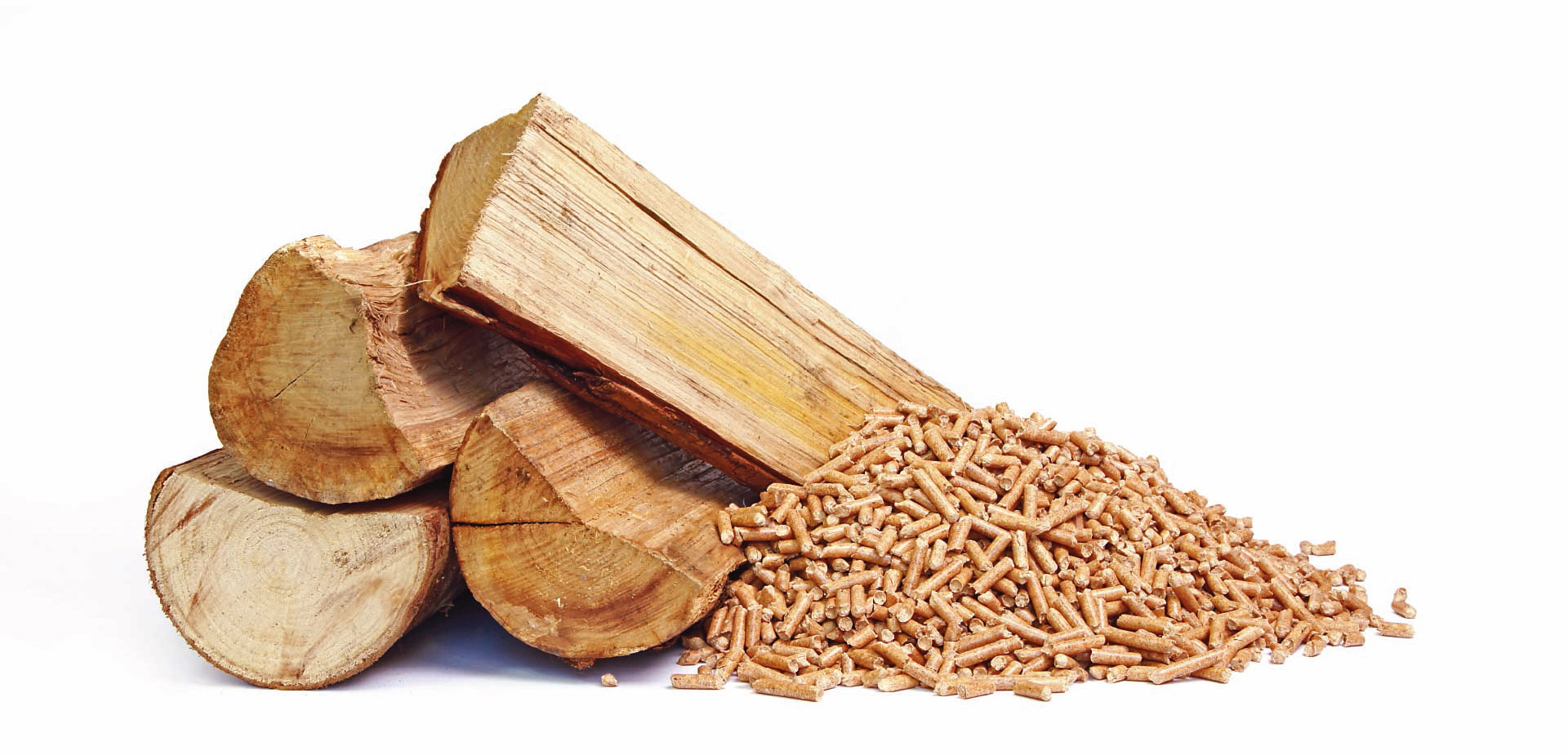 Contactez-nous - Lauzon